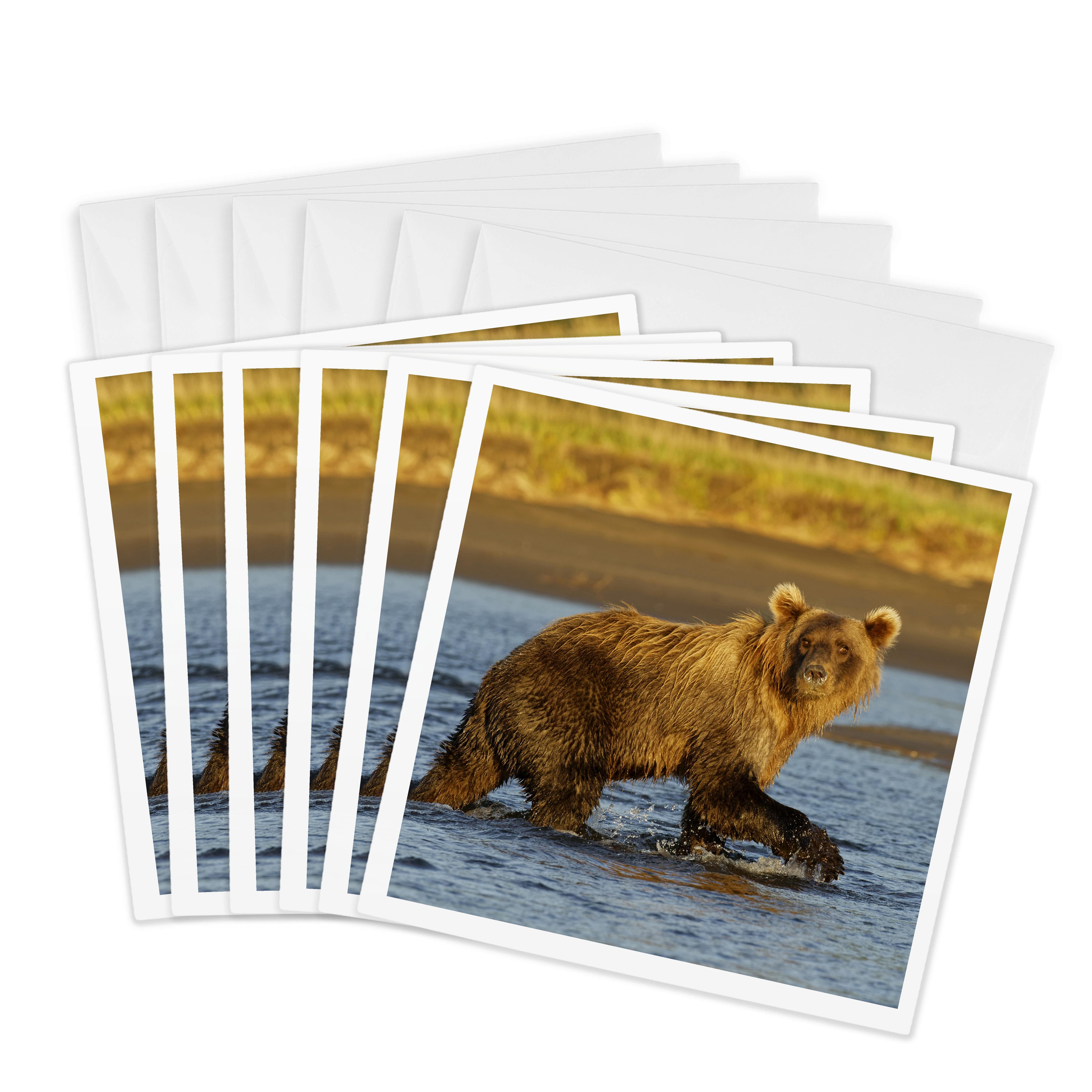 3drose, Brown Bear Fishing for Salmon, Silver Salmon Creek, Alaska, 6 ...