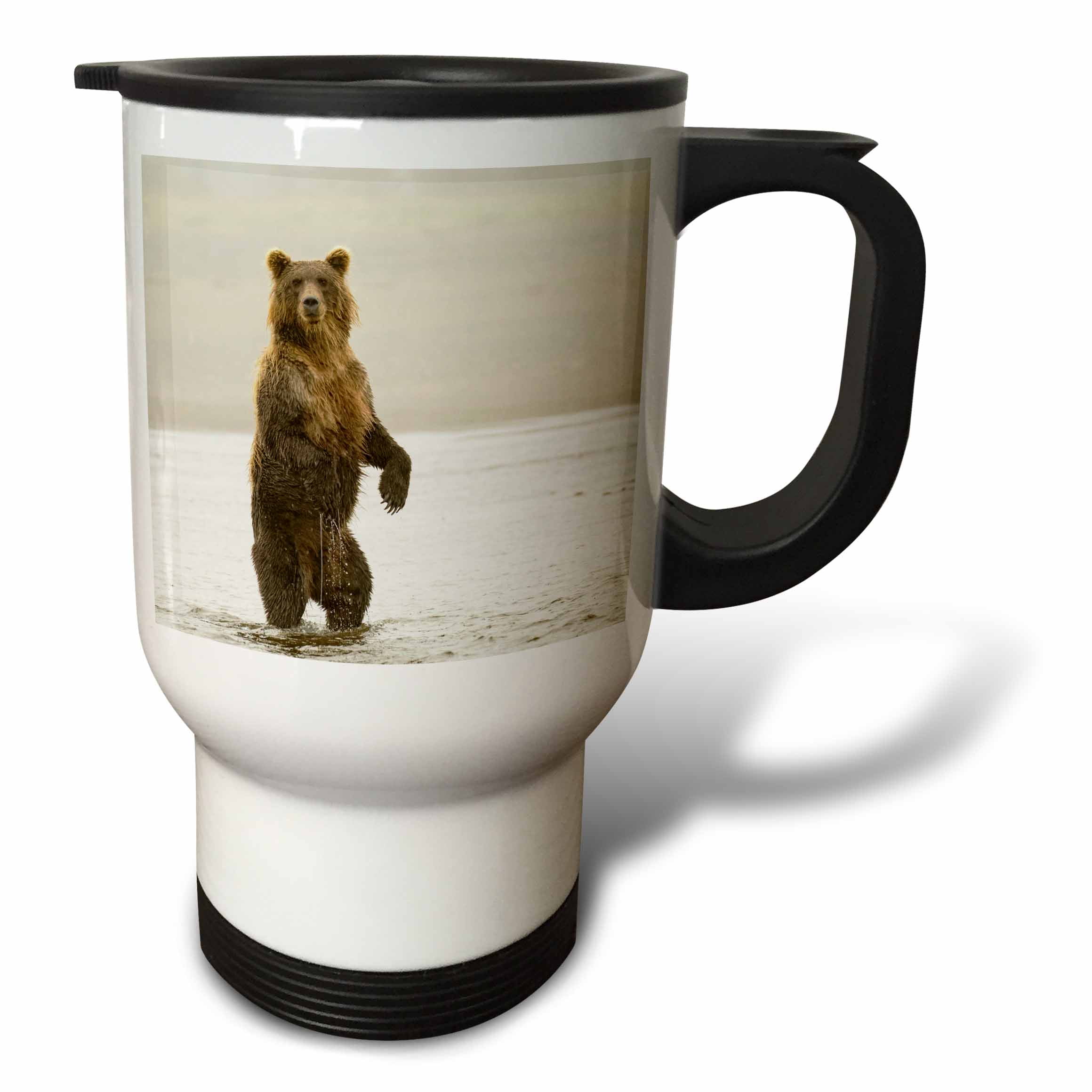 3drose, Brown Bear Standing Upright, Silver Salmon Creek, Alaska., 14oz ...