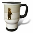 3drose, Brown Bear Standing Upright, Silver Salmon Creek, Alaska., 14oz ...