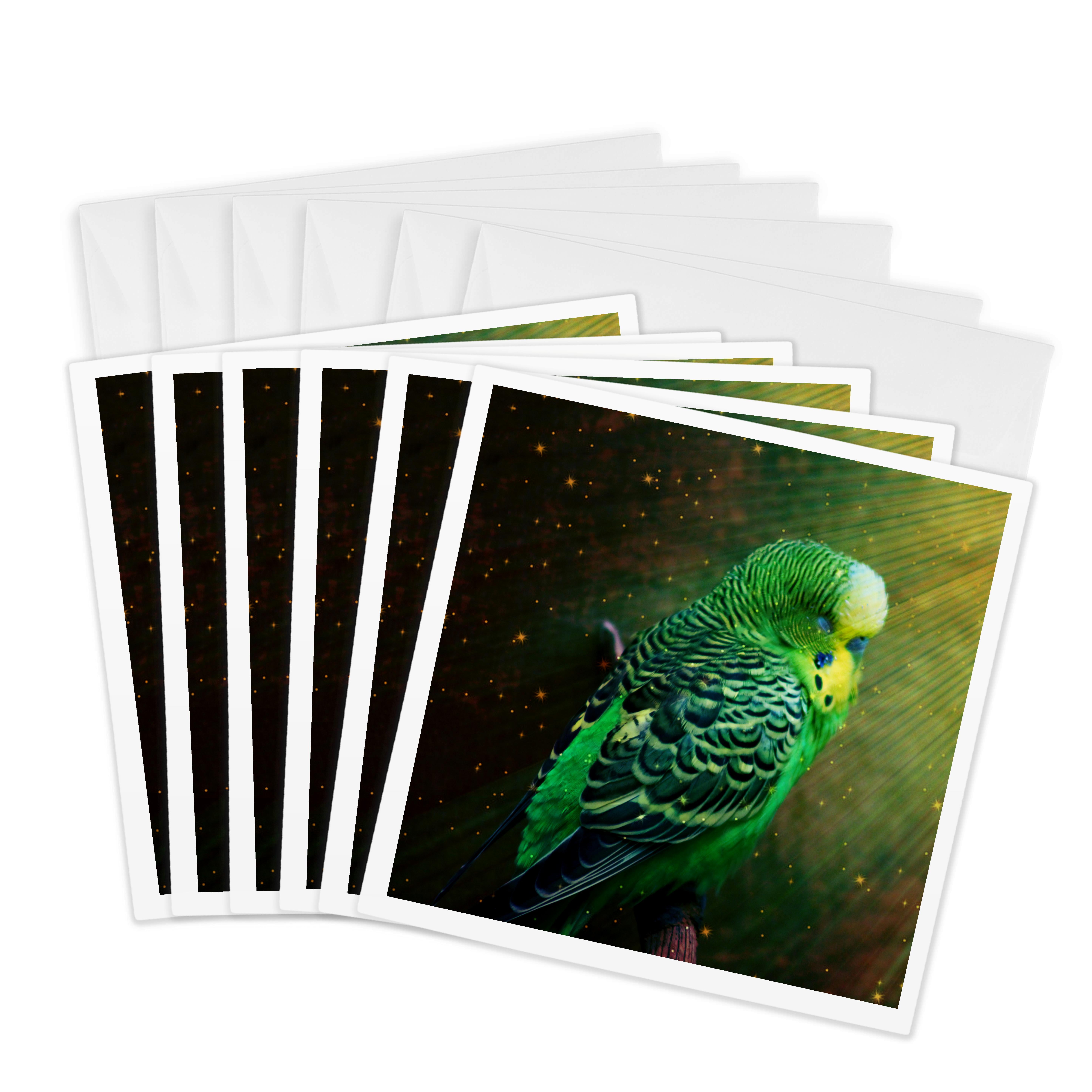 3drose, Budgie in the Nature, 6 Greeting Cards with Envelopes - Walmart.com