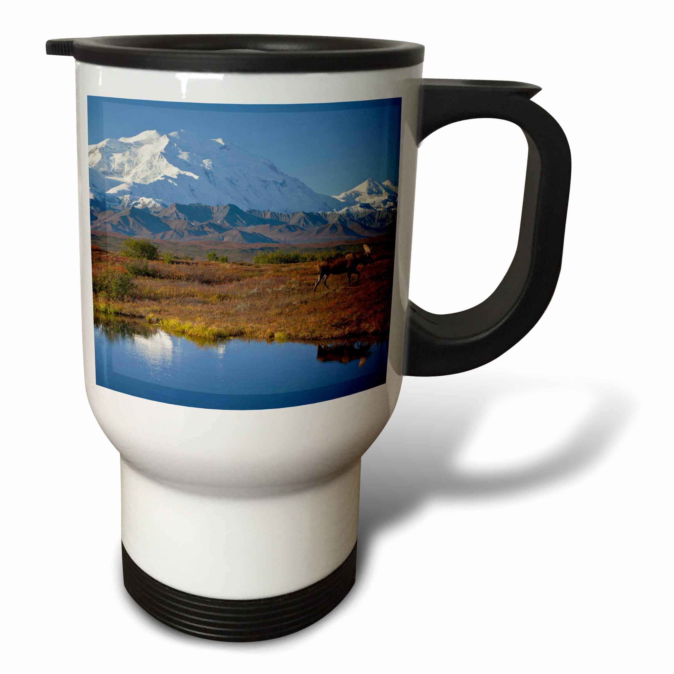 3drose, Bull Moose Wildlife, Denali National Park, Alaska, Usa - Us02 ...