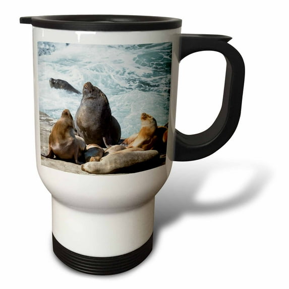 3drose, Bull W Females. South American Sea Lions in Valdes. Chubut ...