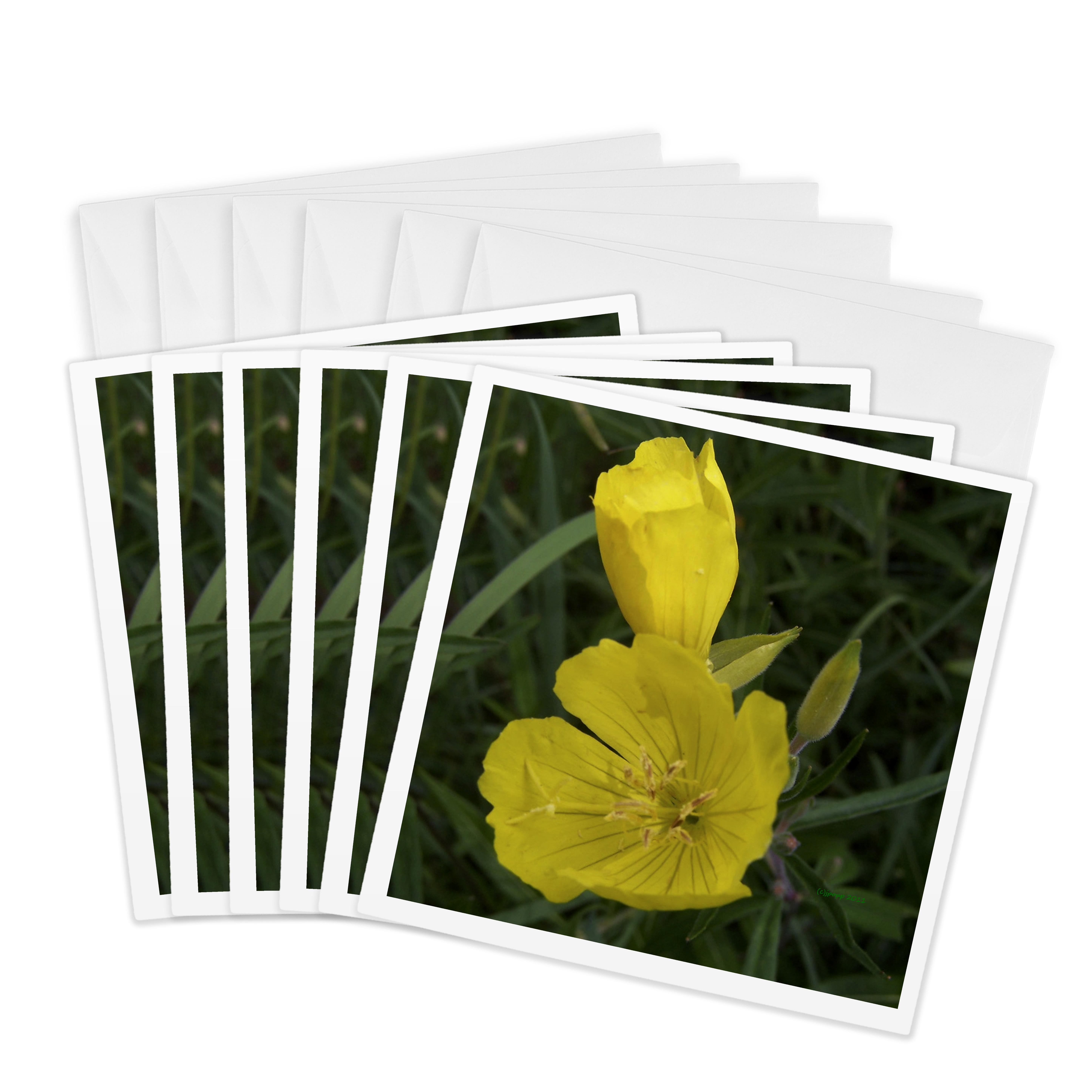 3drose, Buttercups, 6 Greeting Cards with Envelopes - Walmart.com