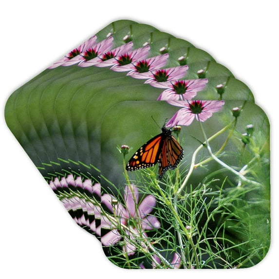 3drose, Butterfly Sips Nectar from Some Pink Cosmos Flowers, Set of 8 ...