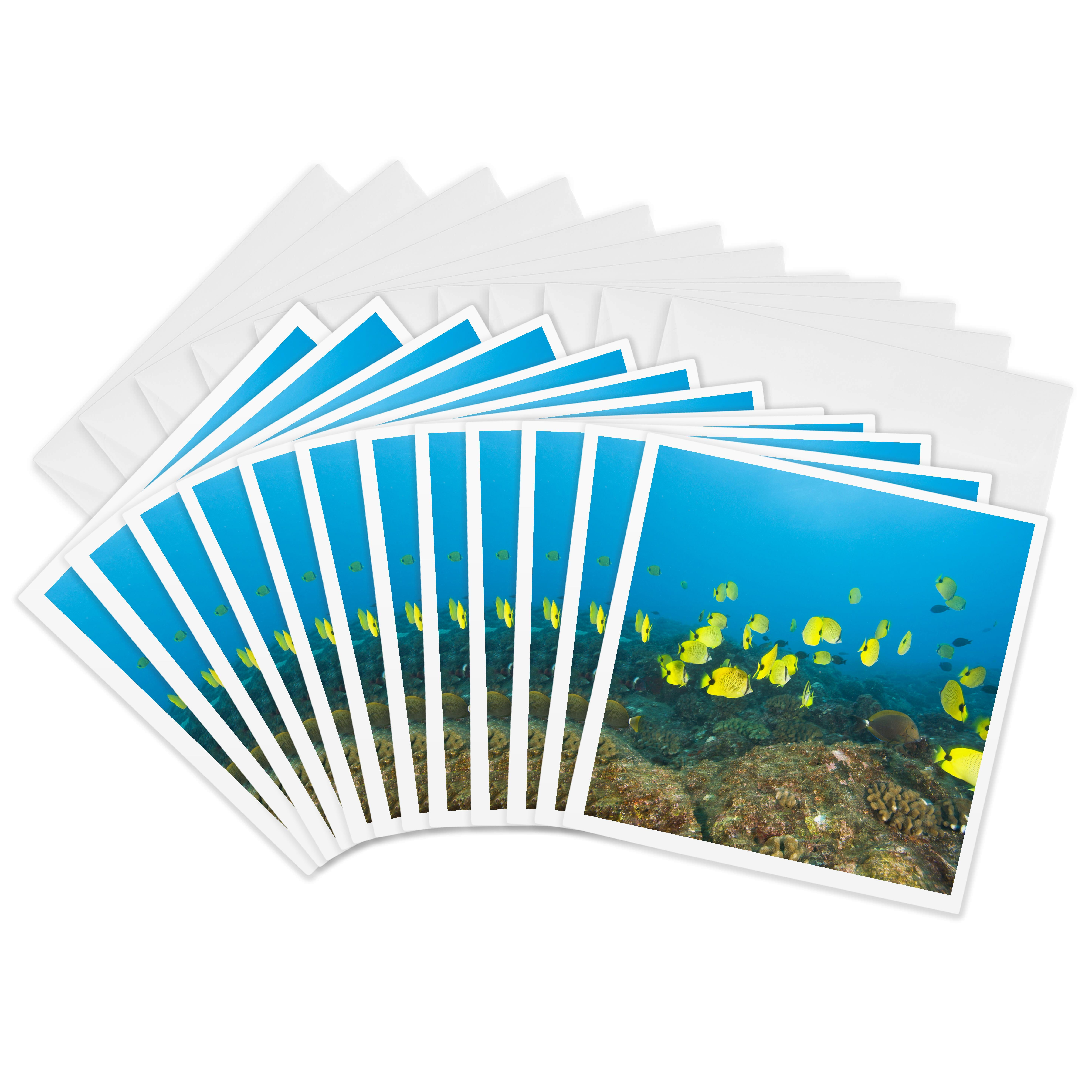 3drose, Butterflyfish, Maui, Hawaii - Us12 Sws0138 - Stuart Westmorland ...