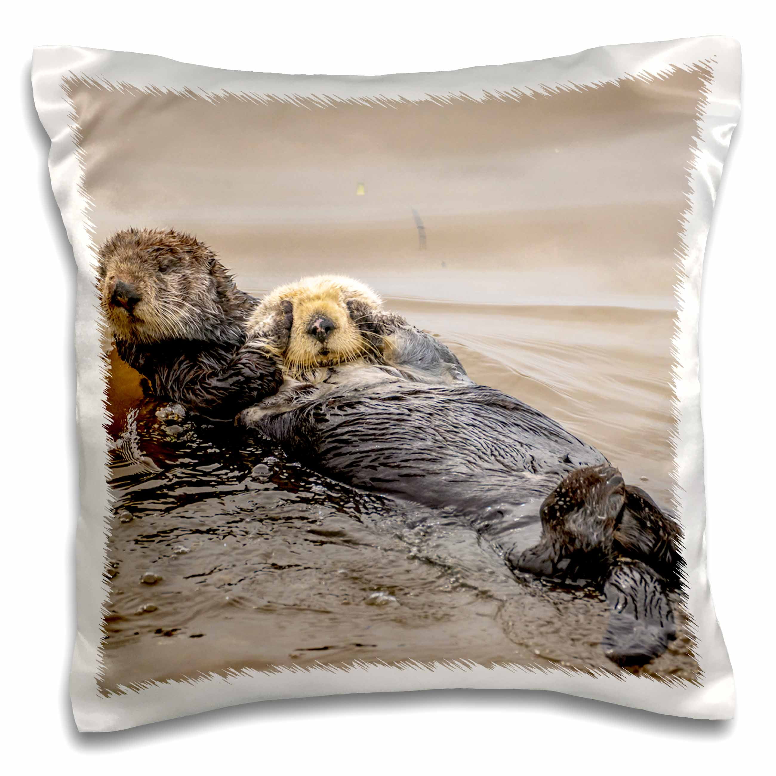 3drose, California, Morro Bay. Sea Otter Mother and Pup in Water ...