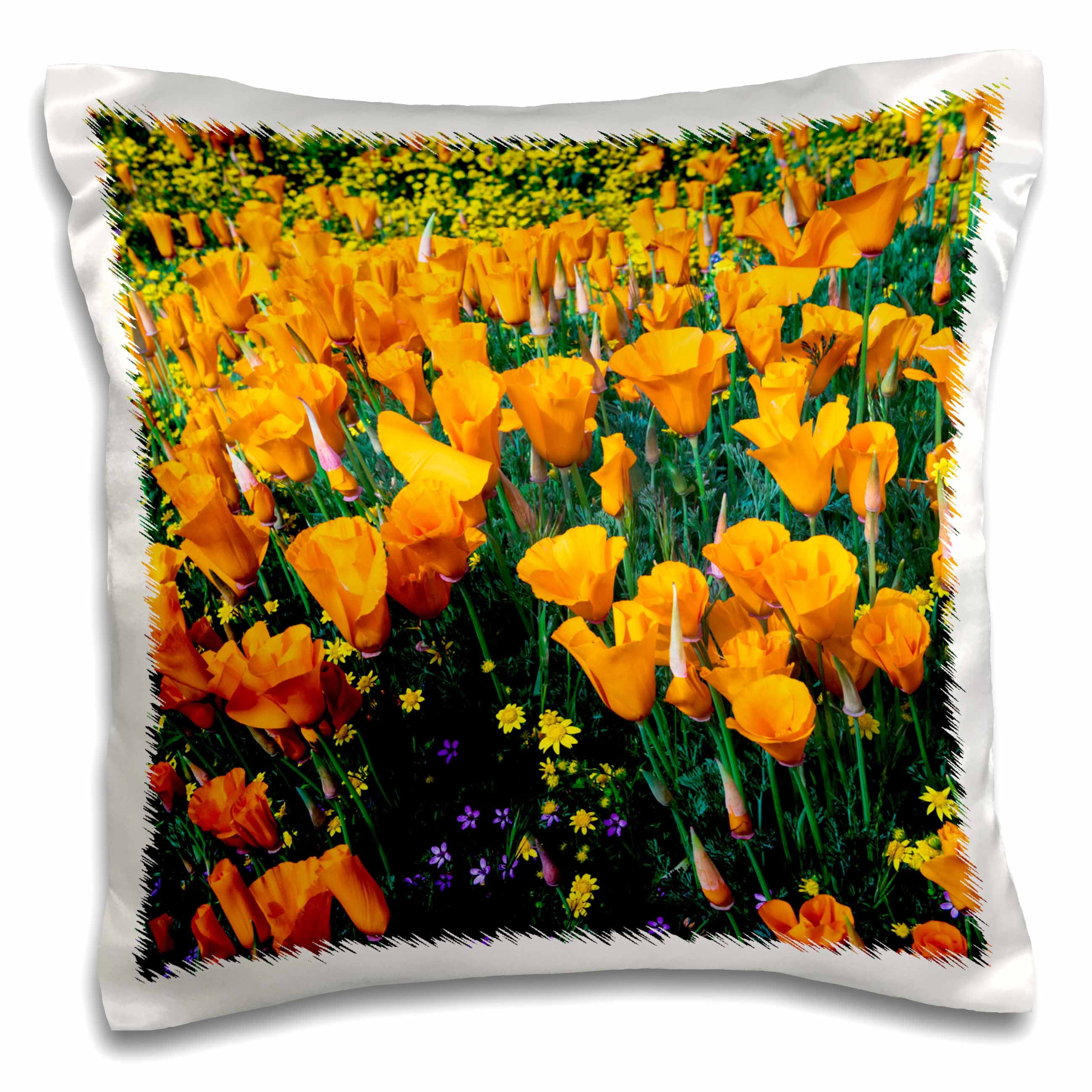 3drose, California Poppies and Goldfield, Antelope Valley, California ...