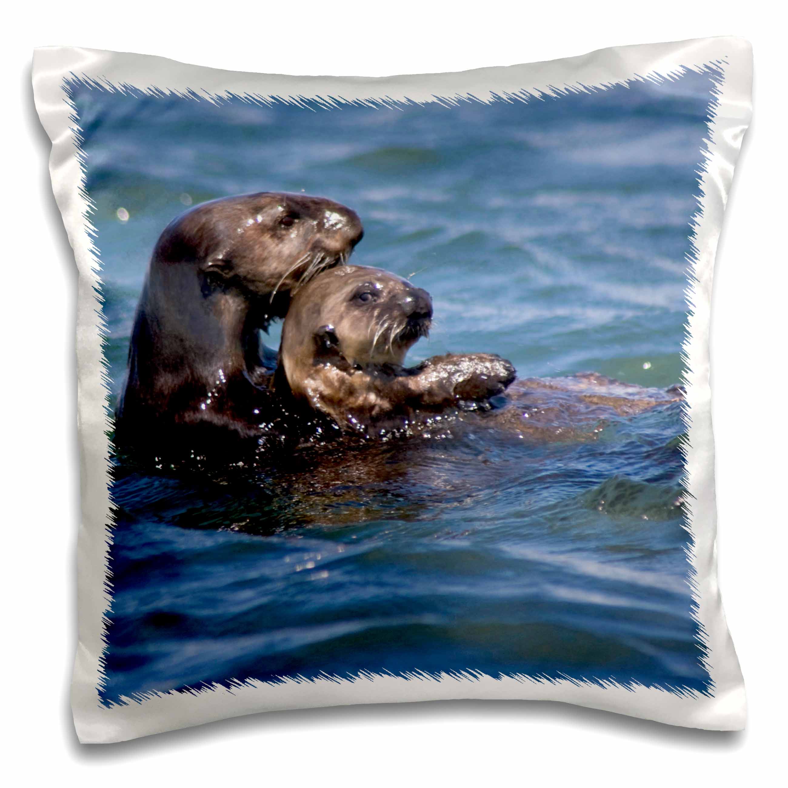 3drose, California Sea Otter, Moss Landing, California - Us05 Jgs0199 ...