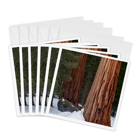 3drose, California. Spring Snow under Giant Sequoia, Sequoia National ...