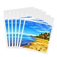 3drose, Calm Ocean Beach with Palm Trees Image of Light Infused ...