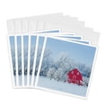 3drose, Canada, Manitoba, Grande Pointe. Red Barn with Rime Ice on ...