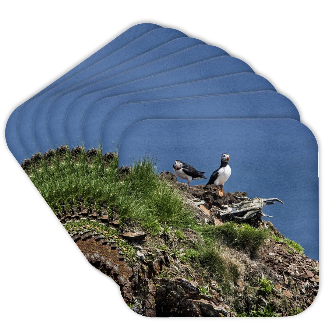 3drose, Canada, Newfoundland, Elliston. Atlantic Puffins on Cliff Ledge ...
