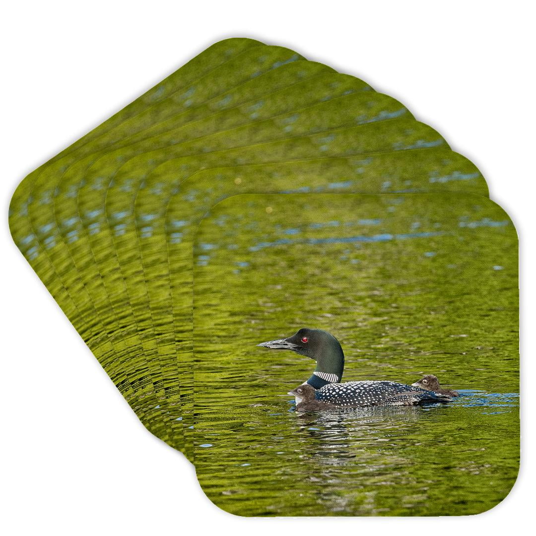 3drose, Canada, Ontario. Common Loon with Chicks on Cassels Lake., Set ...