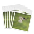 3drose, Carolina Chickadee Bird, Hill Country, Texas - Na02 Rnu0042 ...
