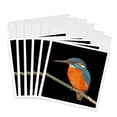 3drose, Cartoon Style Kingfisher Black Outline Art, 6 Greeting Cards ...