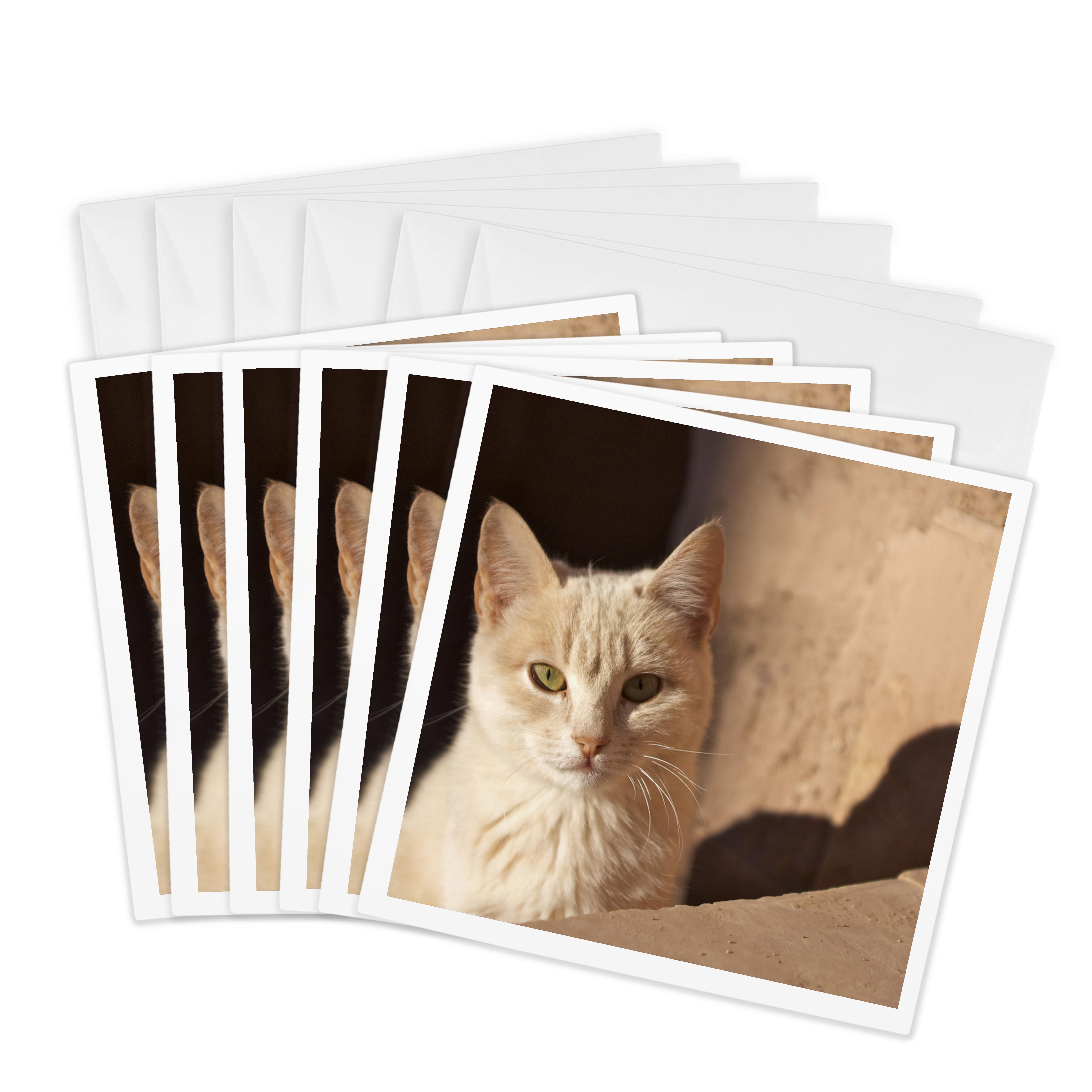 3drose, Cat Inside Kasbah De Taourirt. Same Clay Color.-af29 Mme0055 ...