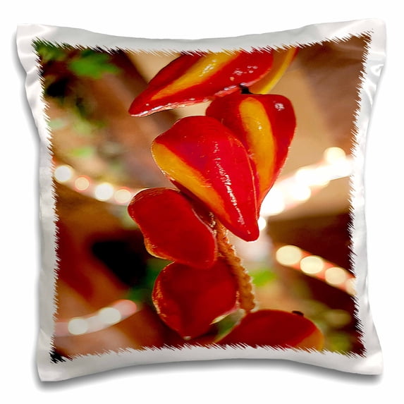 3drose, Ceramic Red Hot Chili Peppers Strung on String and Hanging on ...