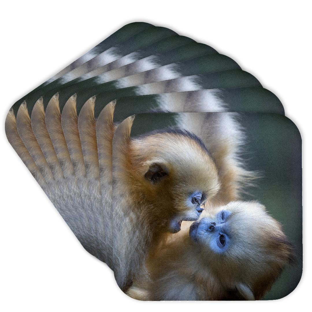 3drose, China. Wild Snub-nosed Monkey Babies Playing., Set of 8 ...