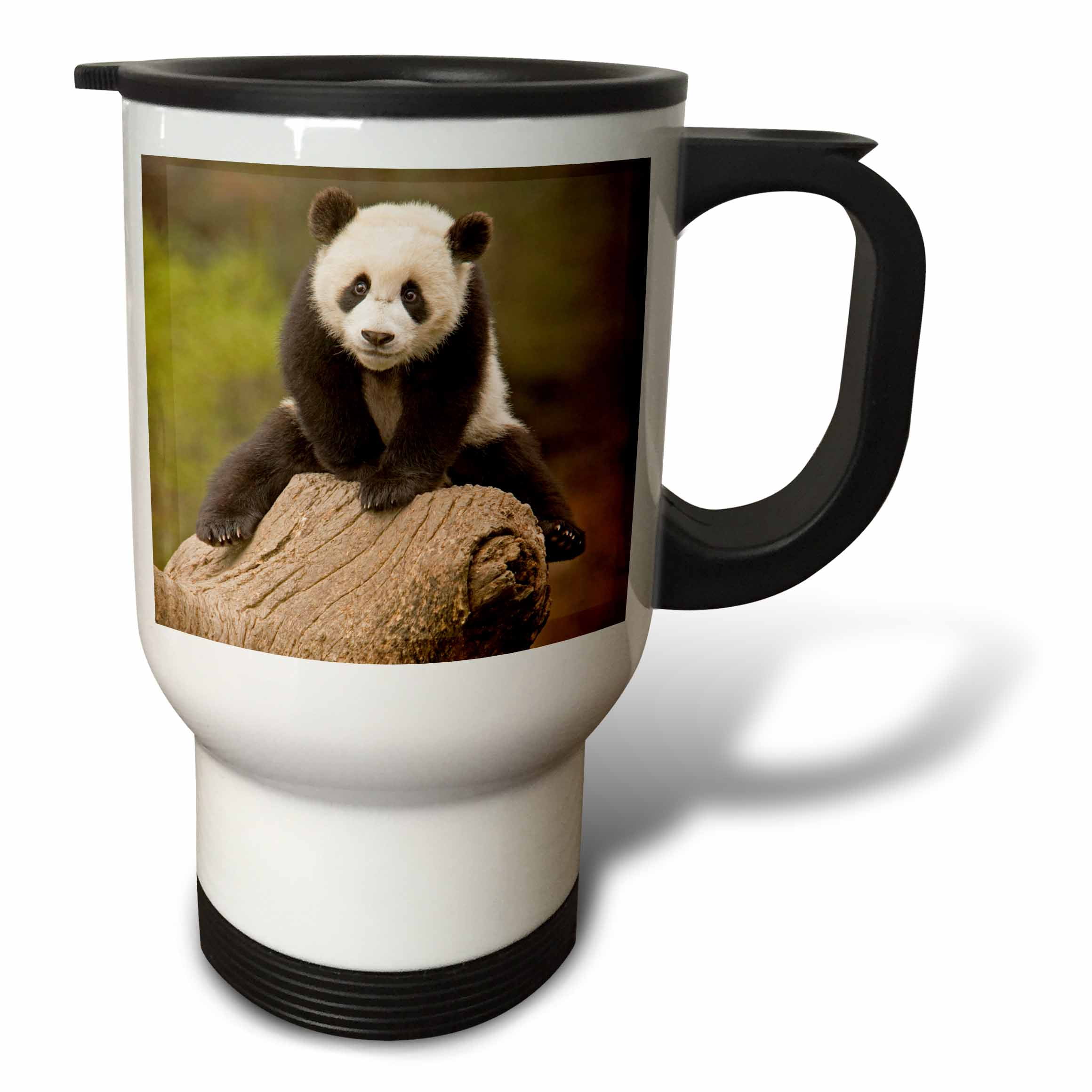 3drose, China, Wolong Panda Reserve, Baby Panda Bear on Stump-as07 ...