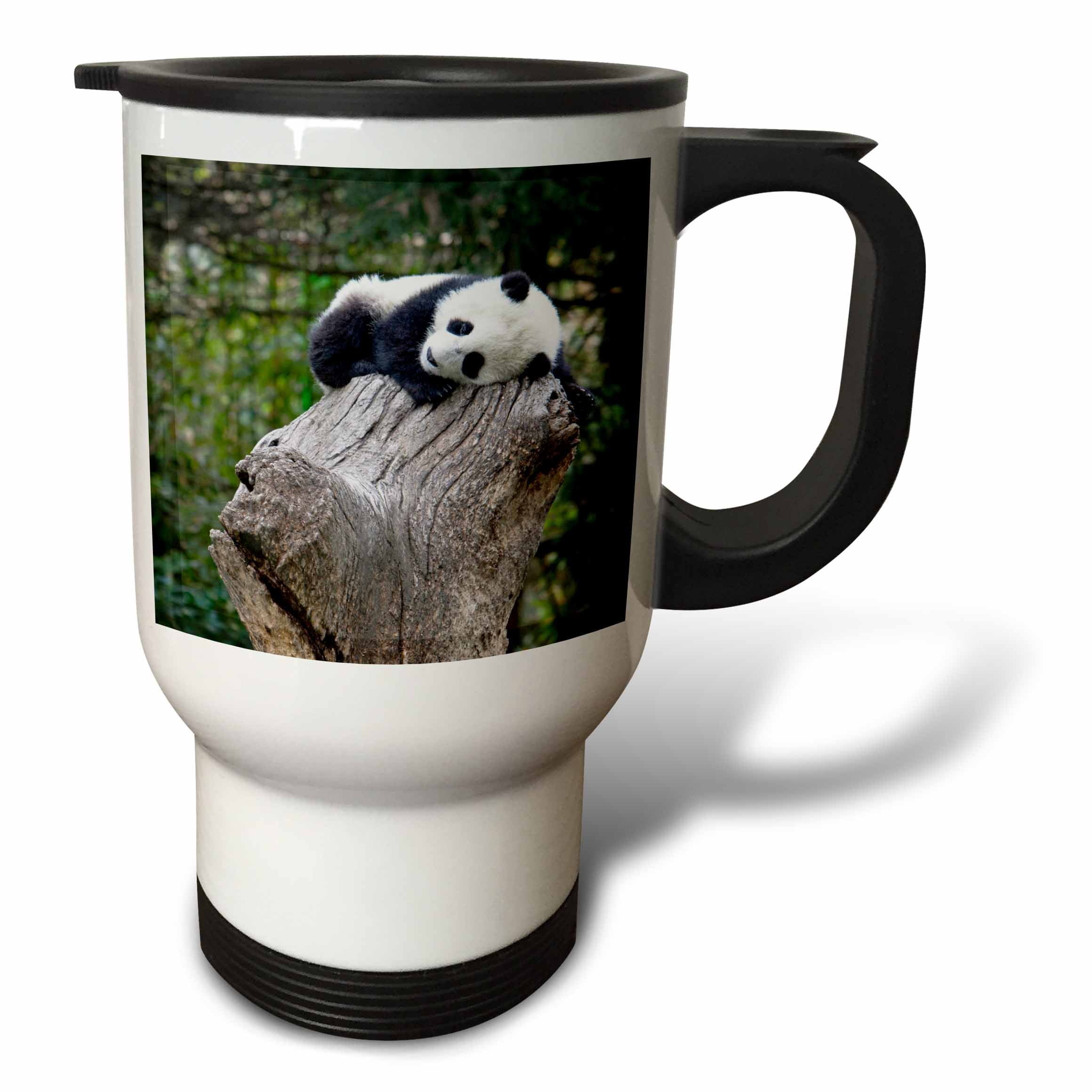 3drose, China, Wolong Reserve, Baby Panda Bear on Stump - As07 Aga0010 ...