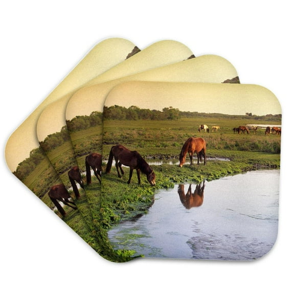 3drose, Chincoteague Horses, Virginia, Usa - Us47 Dpb0008 - Douglas ...