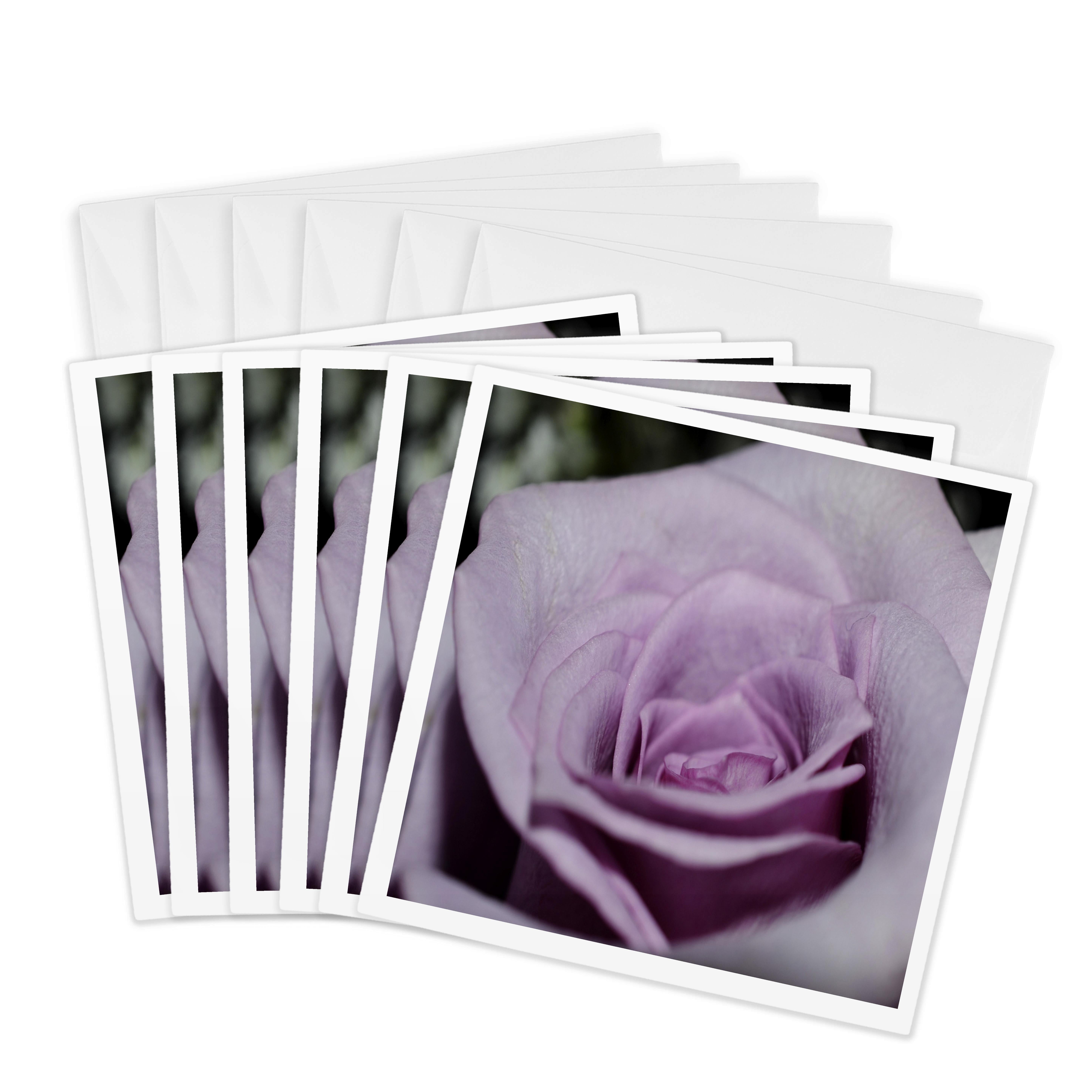 3drose, Close up of a Purple Rose, 6 Greeting Cards with Envelopes ...