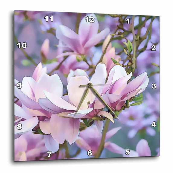 3drose, Close up Photo of Magnolia Flower, 13x13 Wall Clock - Walmart.com