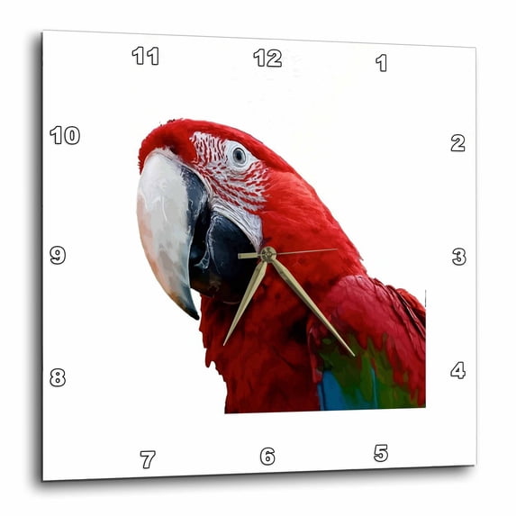 3drose, Close-up of a Green Winged Macaw Parrot Cut Out, 13x13 Wall ...