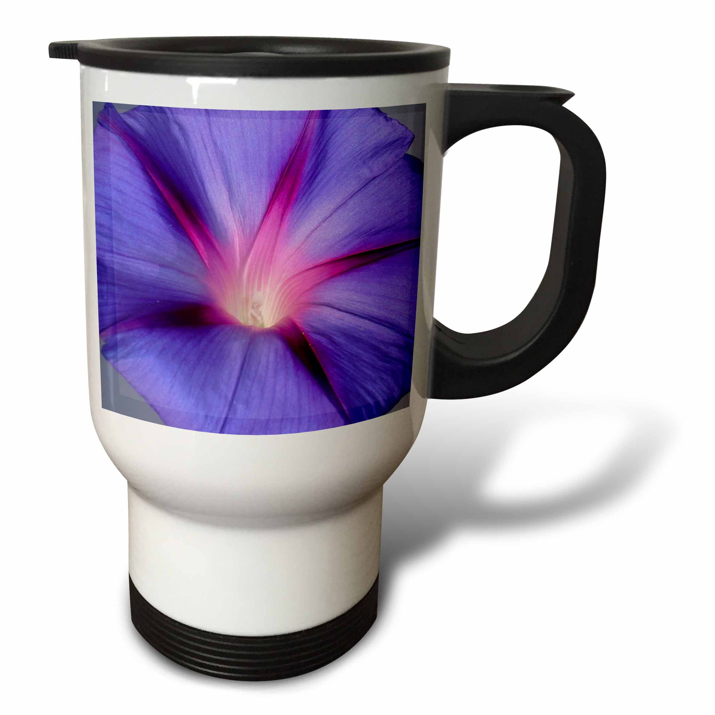 3drose, Close up of a Morning Glory Purple and Pink Flower, 14oz ...