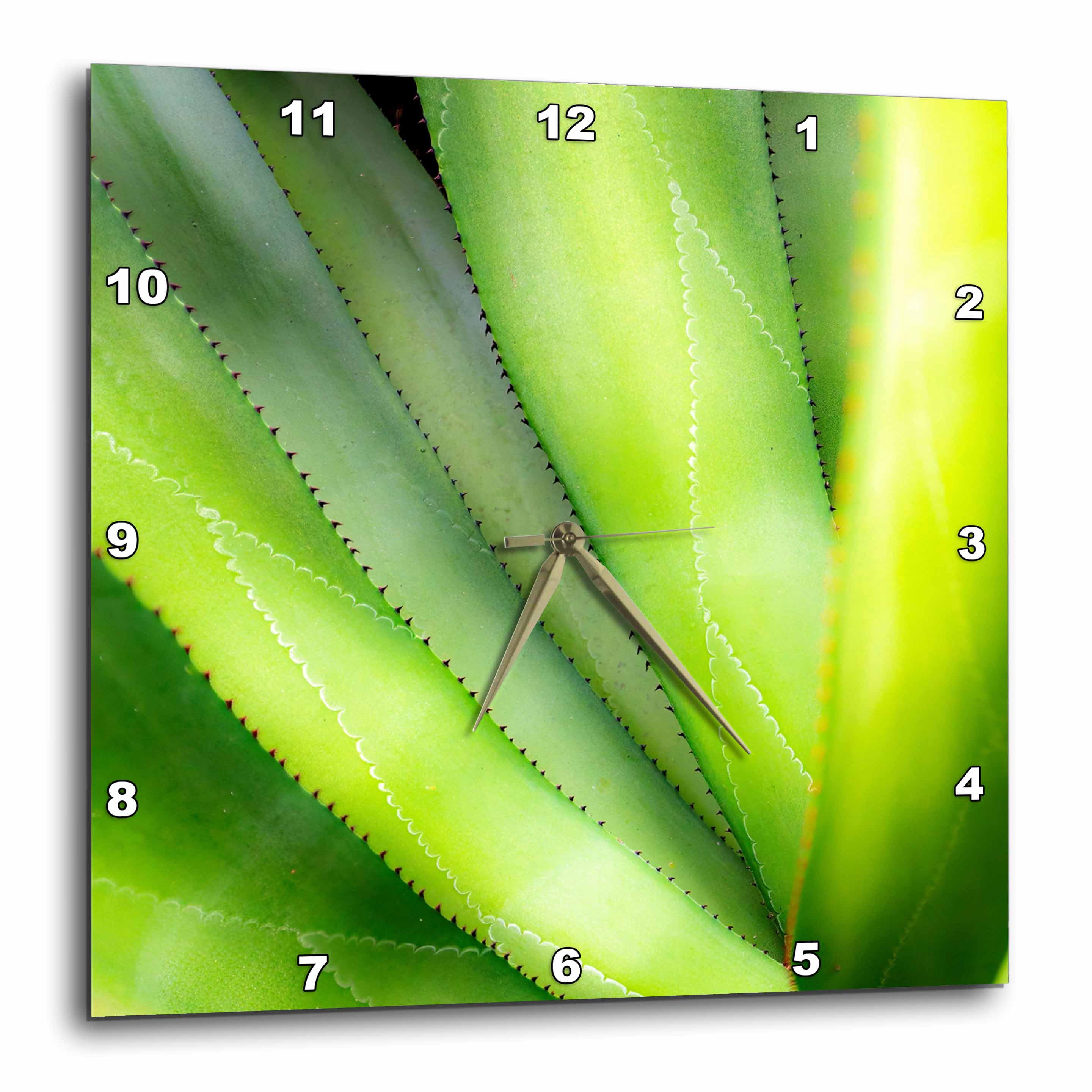 3drose, Closeup of Vibrant Agave Leaves., 15x15 Wall Clock - Walmart.com