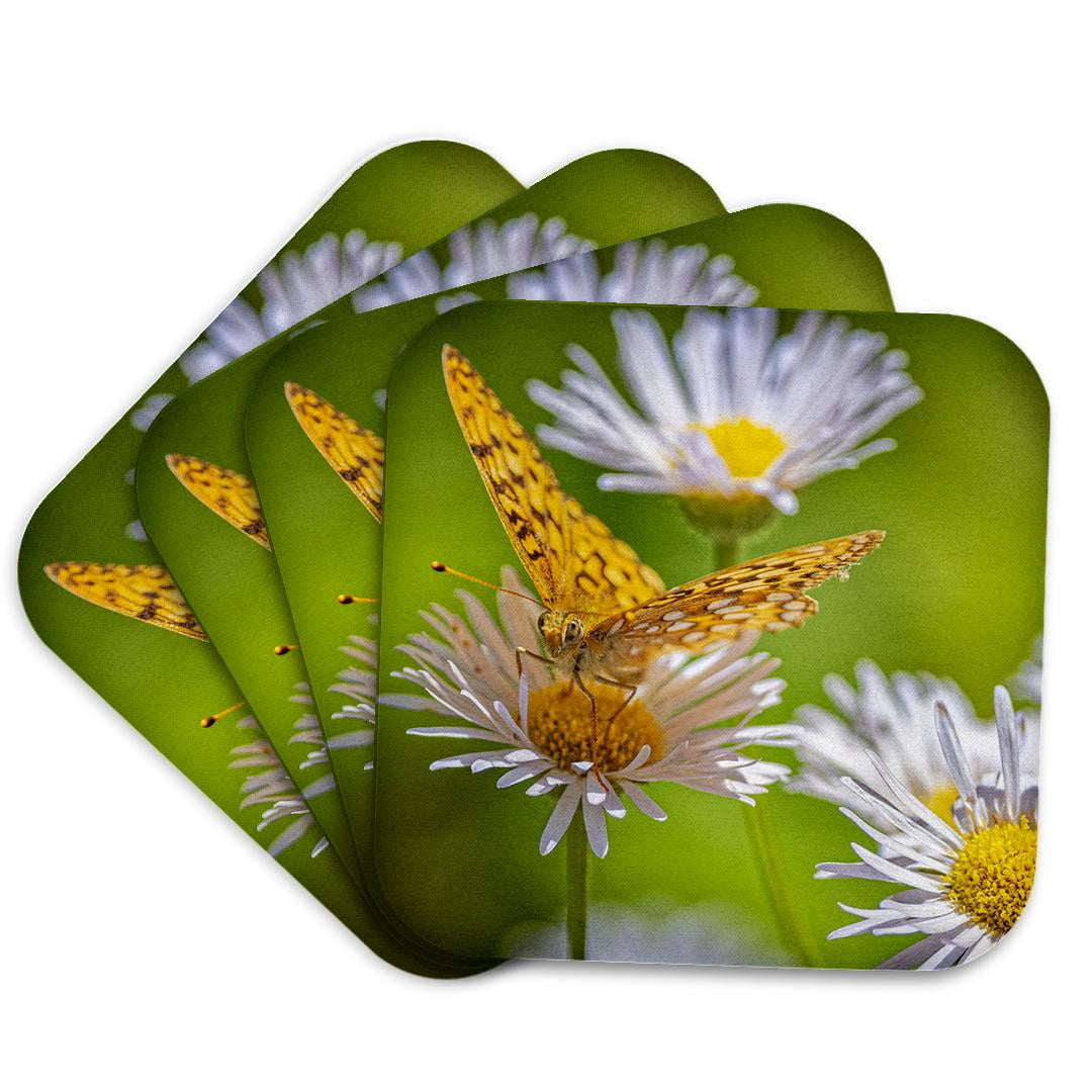 3drose, Colorado, Fort Collins. Fritillary Butterfly on Aster Flower ...