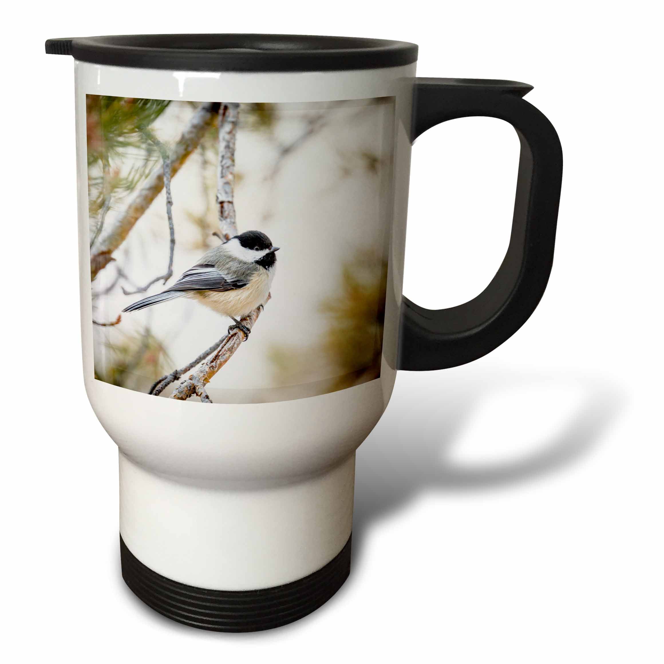 3drose, Colorado, Ft. Collins. Black-capped Chickadee., 14oz Stainless ...