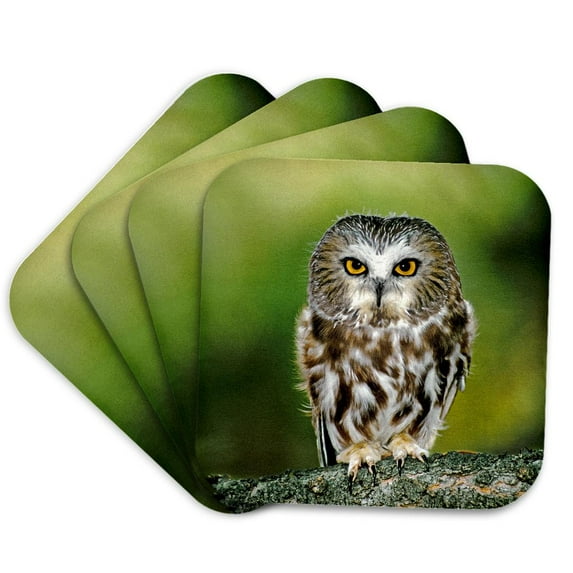 3drose, Colorado. Northern Saw-whet Owl - Us06 Bja0052 - Jaynes Gallery ...