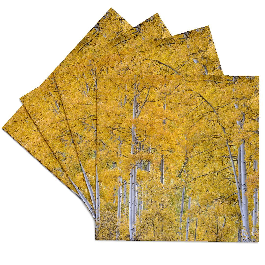 3drose, Colorado, Uncompahgre National Forest. Autumn Forest Landscape ...