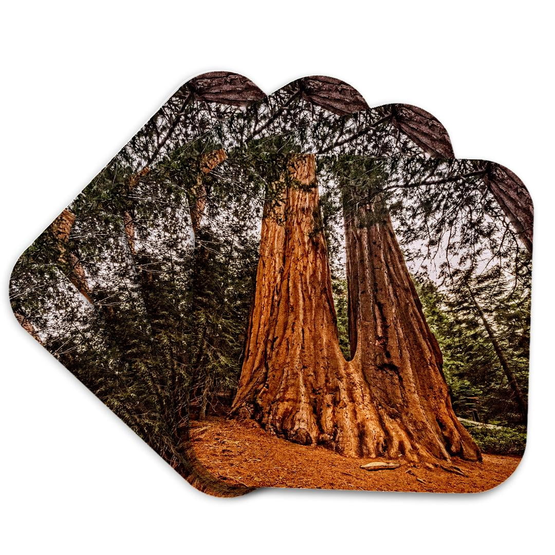 3drose, Conjoined Redwood Trees in Sequoia National Park, Set of 4 ...