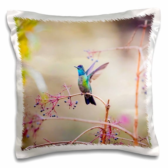 3drose, Costa Rica. Male Talamanca Hummingbird., 16x16 inch Pillow Case ...