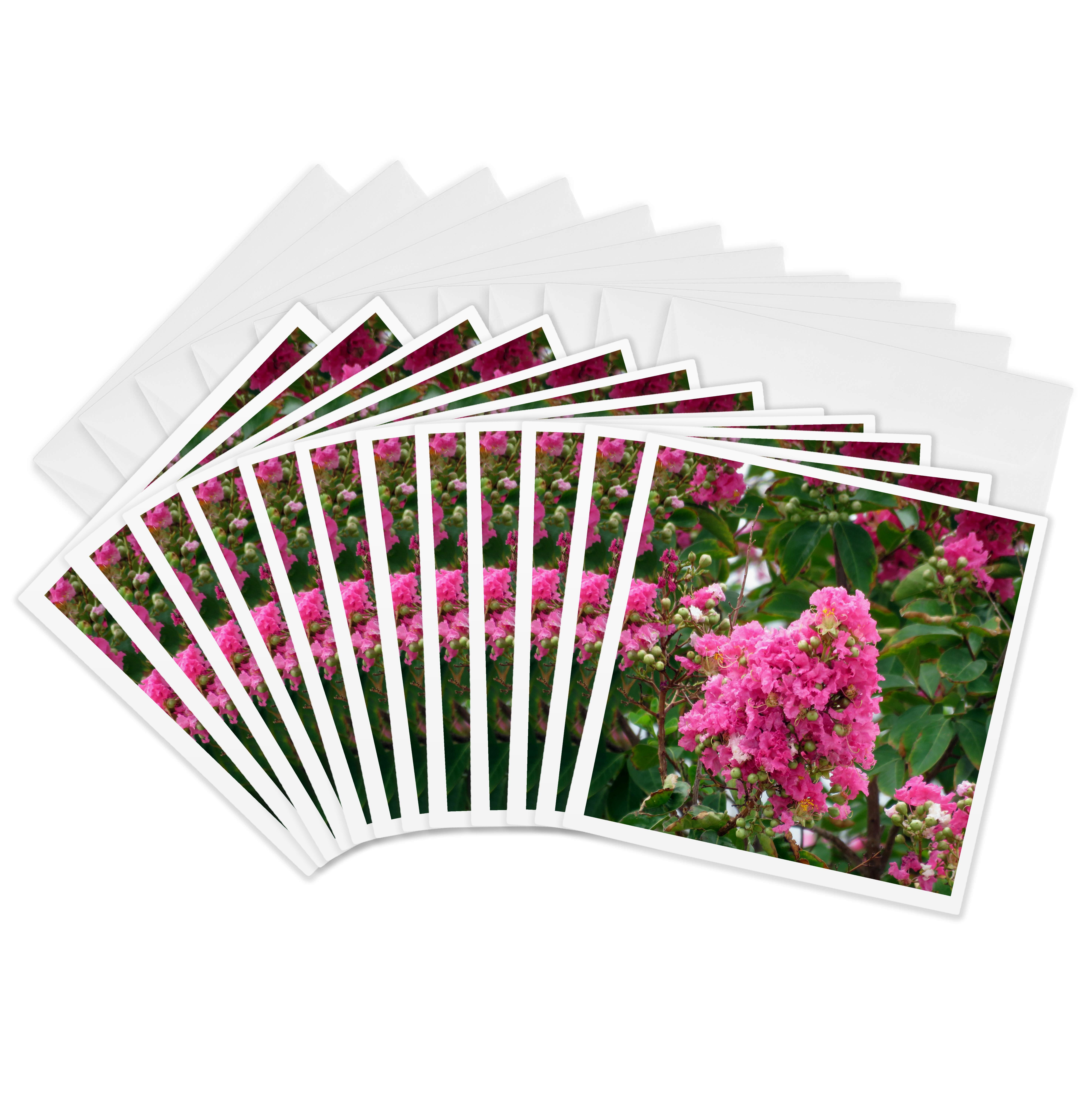 3drose, Crepe Myrtle in Pink with Little Berries on Green Leaves, 12 ...