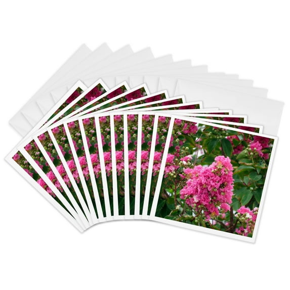 3drose, Crepe Myrtle in Pink with Little Berries on Green Leaves, 12 Greeting Cards with ...