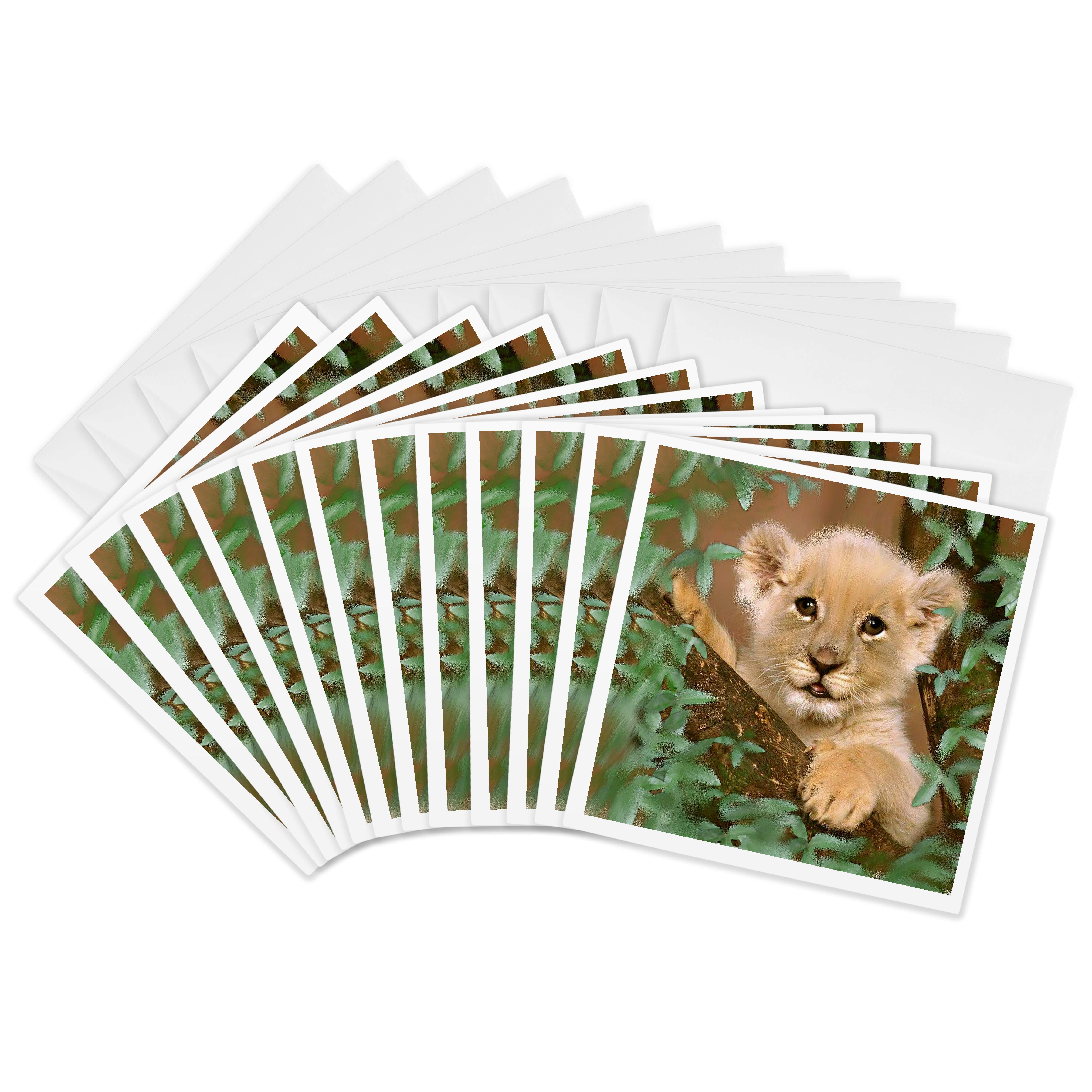 3drose, Cub Lion, 12 Greeting Cards with Envelopes - Walmart.com