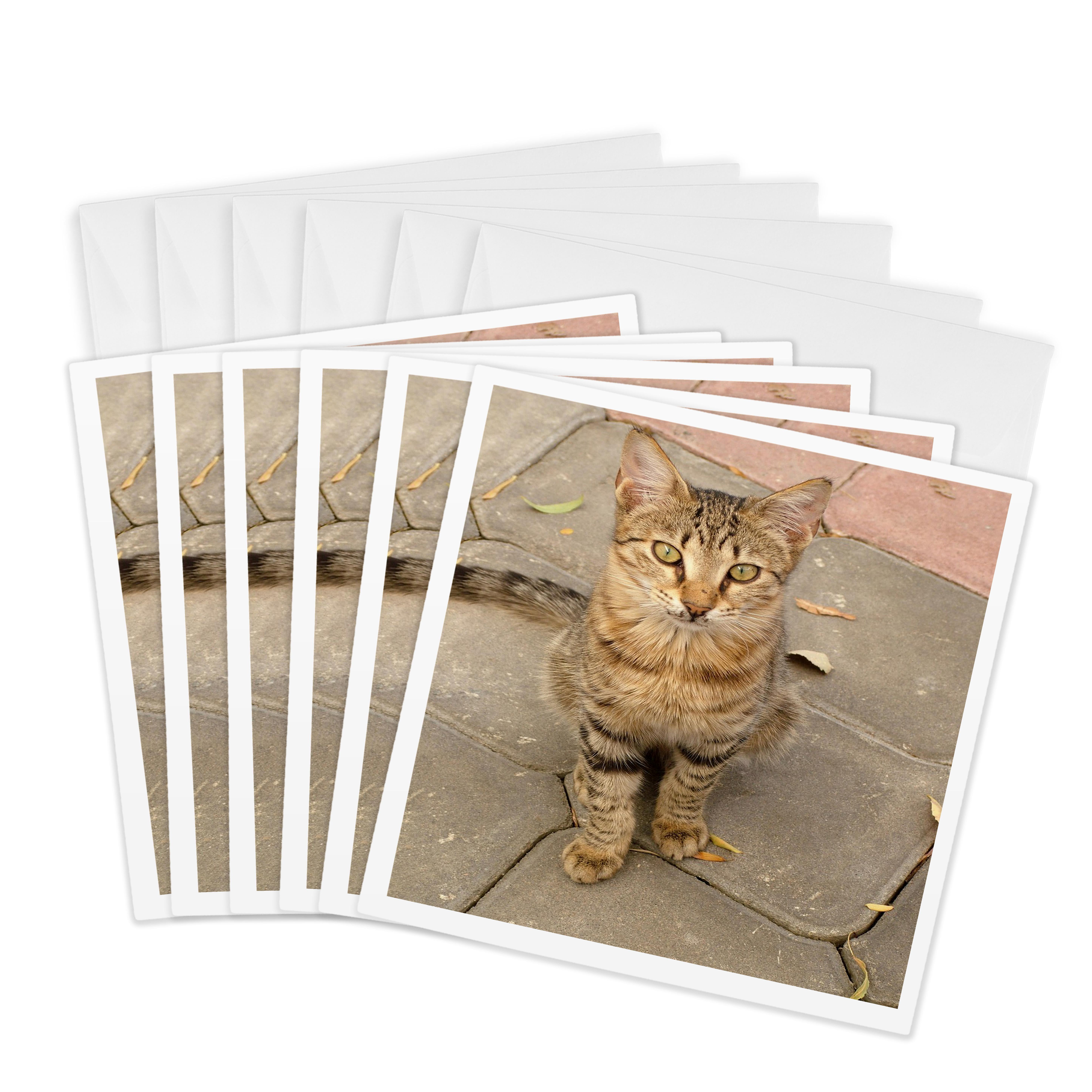 3drose, Cute Tabby Street Cat, 6 Greeting Cards with Envelopes ...
