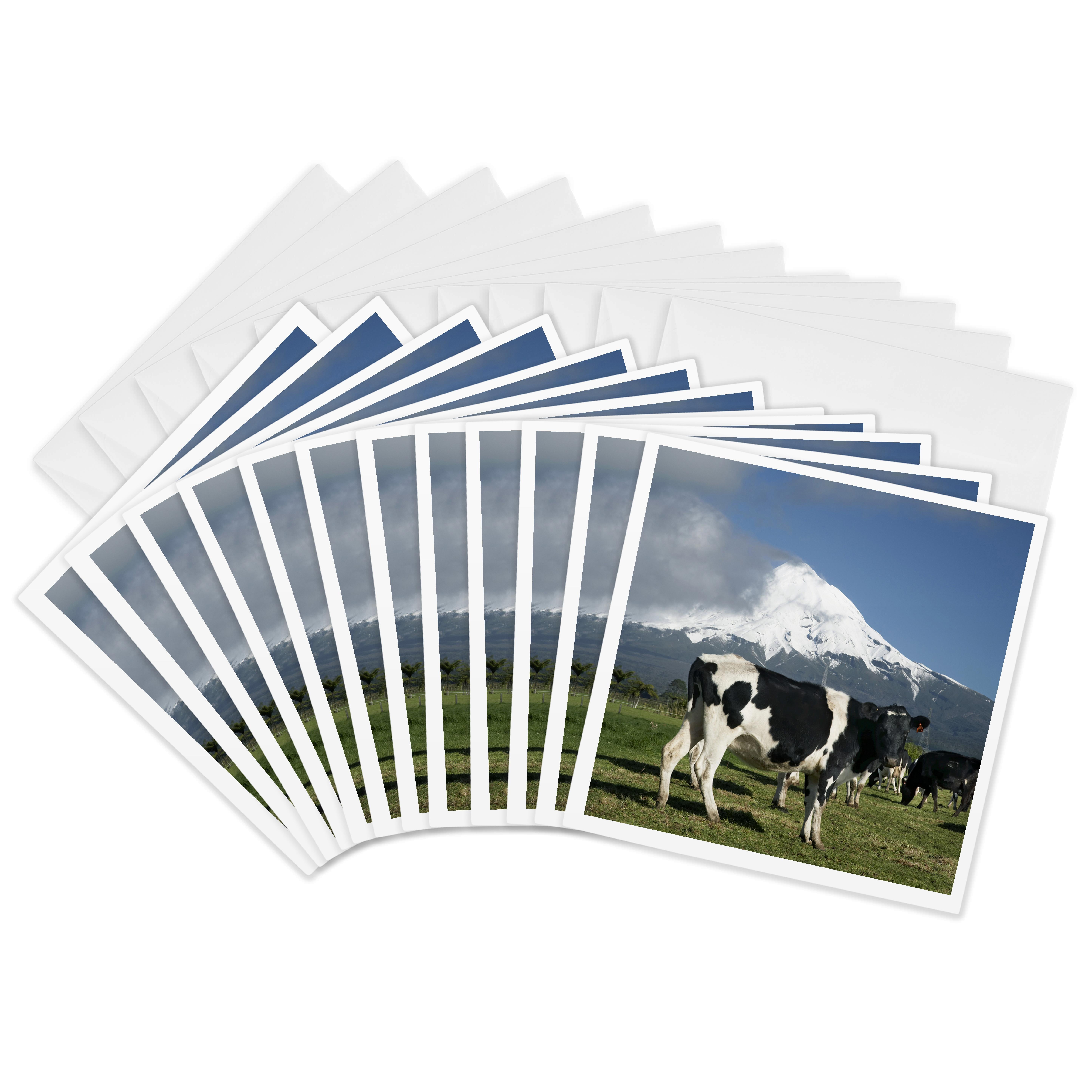 3drose, Dairy Cows, Farm Animals, Taranaki, New Zealand-au02 Dwa4998 ...