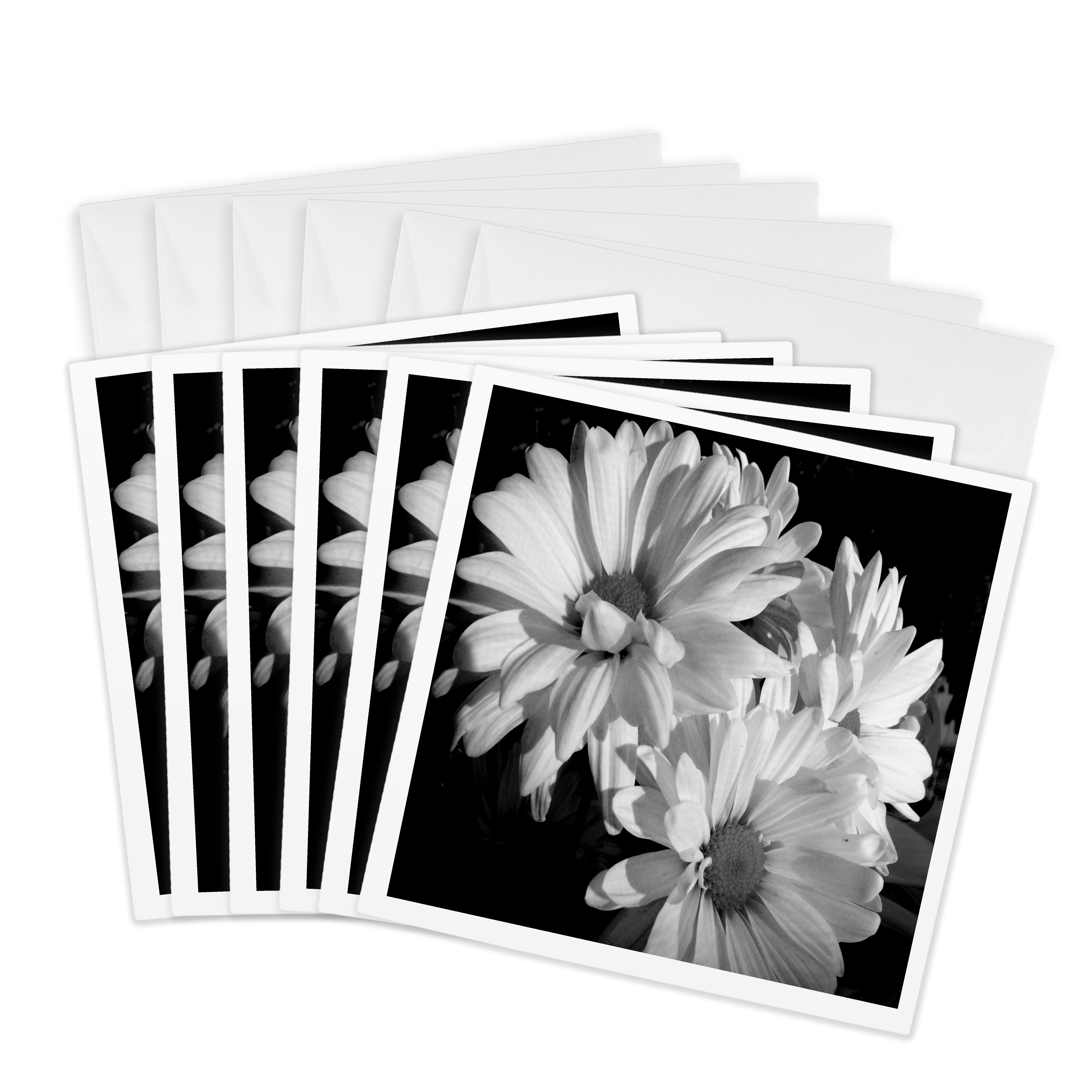 3drose, Daisy Trio, Black and White Photograph of a Trio of Daisies, 6 ...