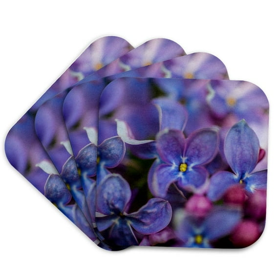 3drose, Dark Blue Lilac Flowers, Red Buds. Macro View of Spring Beauty ...