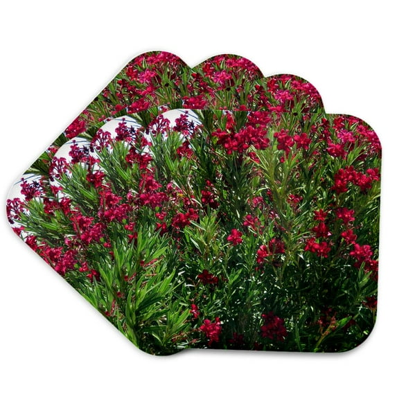 3drose, Dark Pinkish Red Flowers on a Green Leaf Oleander, Set of 4 ...