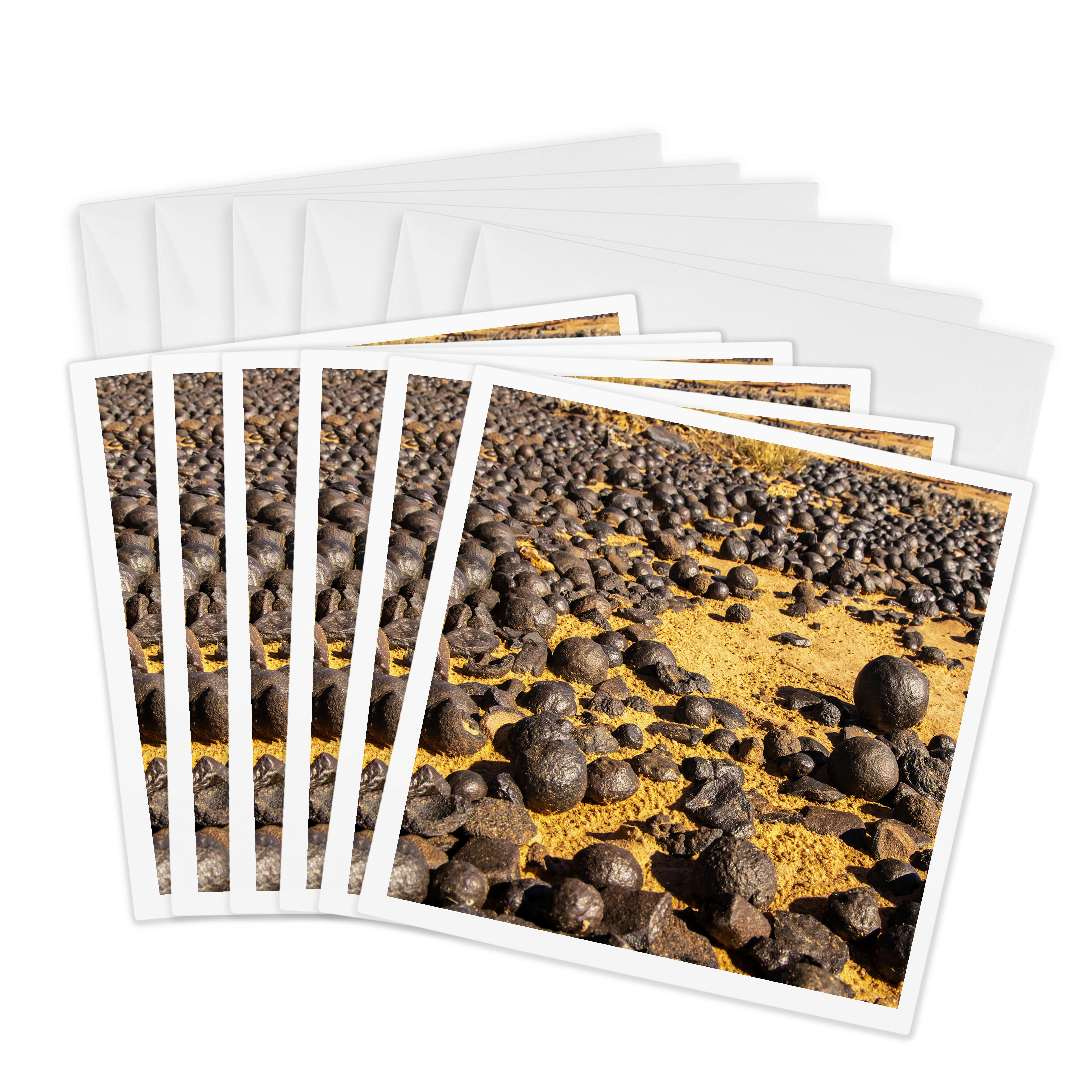 3drose, Deep Bright Orange Hibiscus Flower, Honolulu. State Flower of ...
