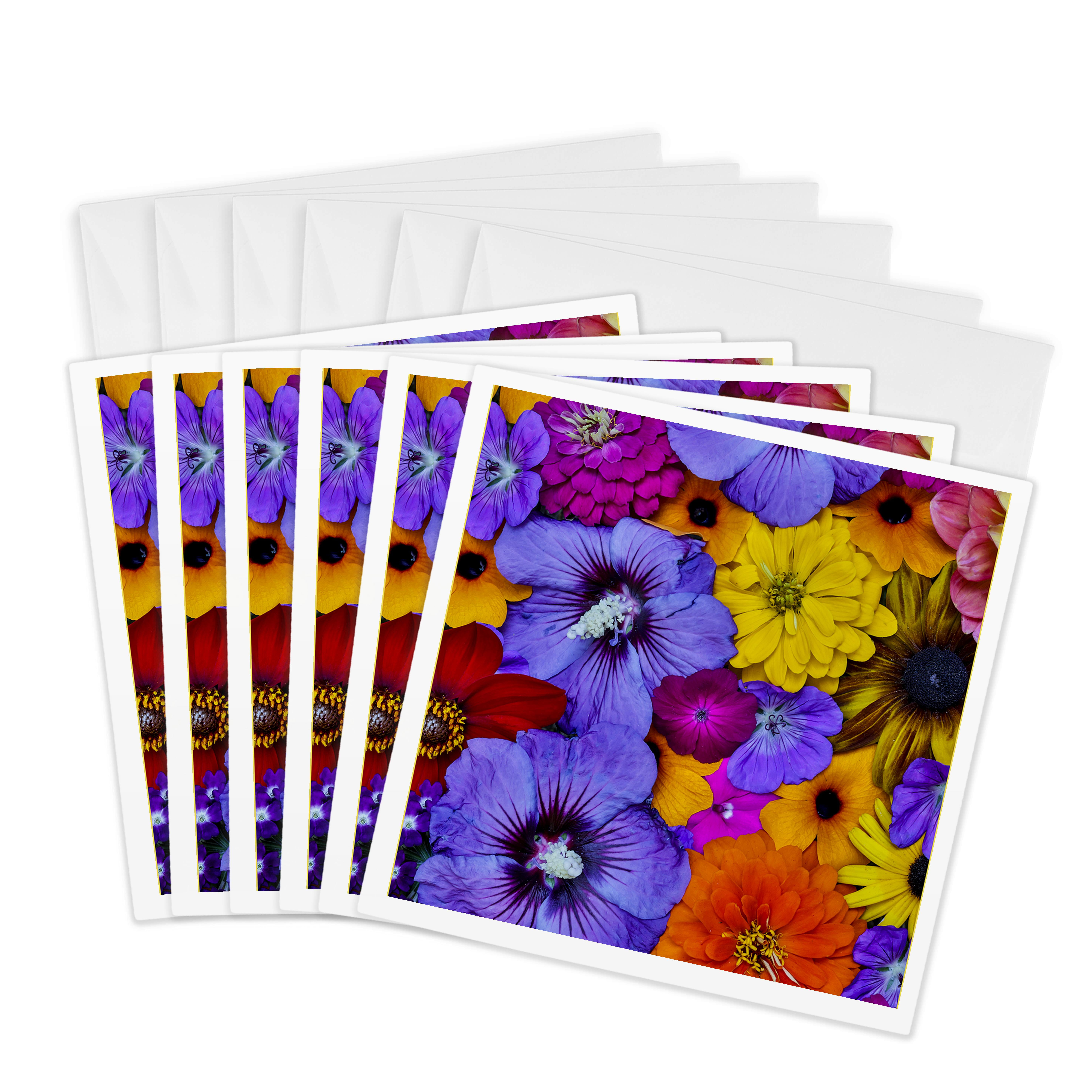 3drose, Deep Bright Orange Hibiscus Flower, Honolulu. State Flower of ...