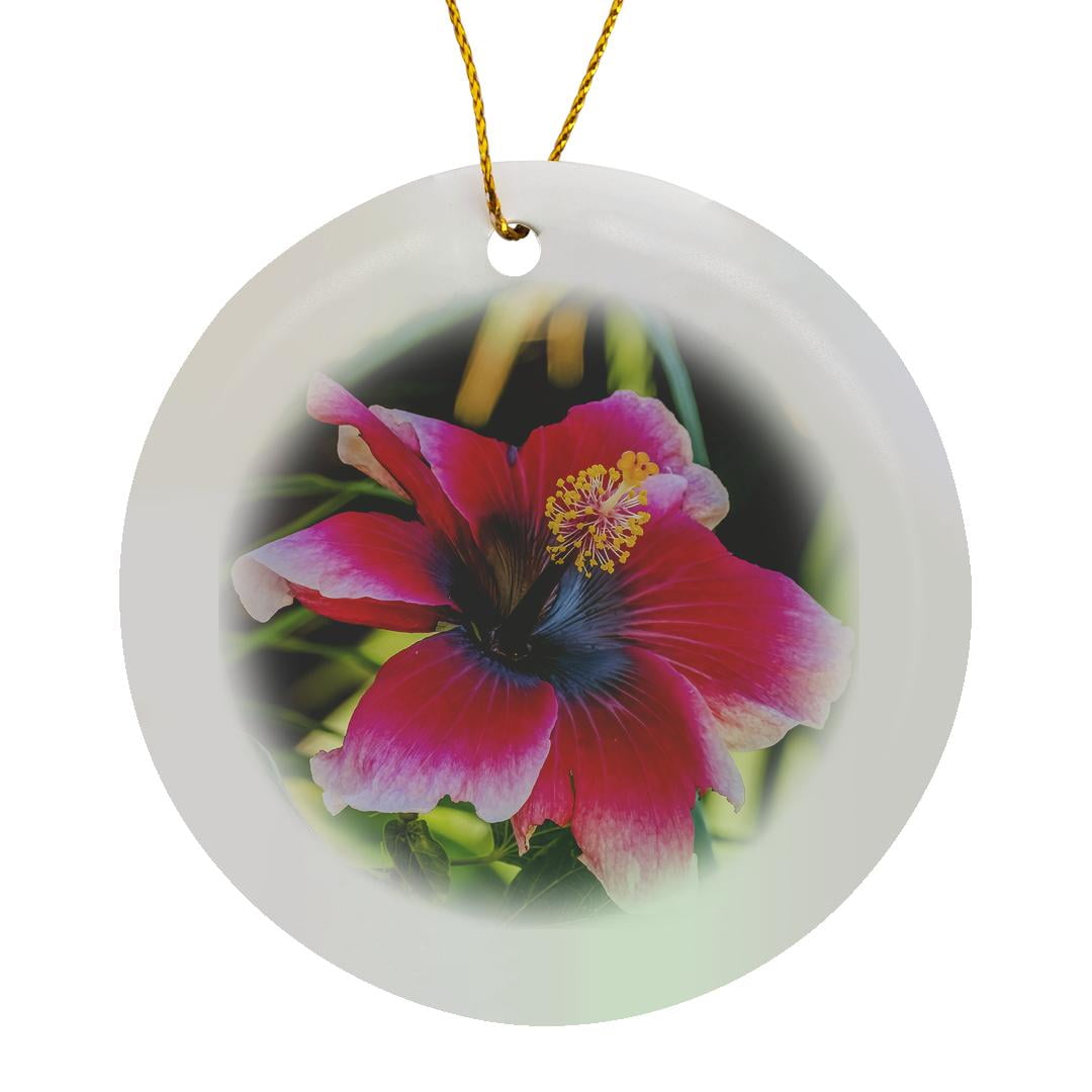 3drose, Deep Bright Orange Hibiscus Flower, Honolulu. State Flower of ...