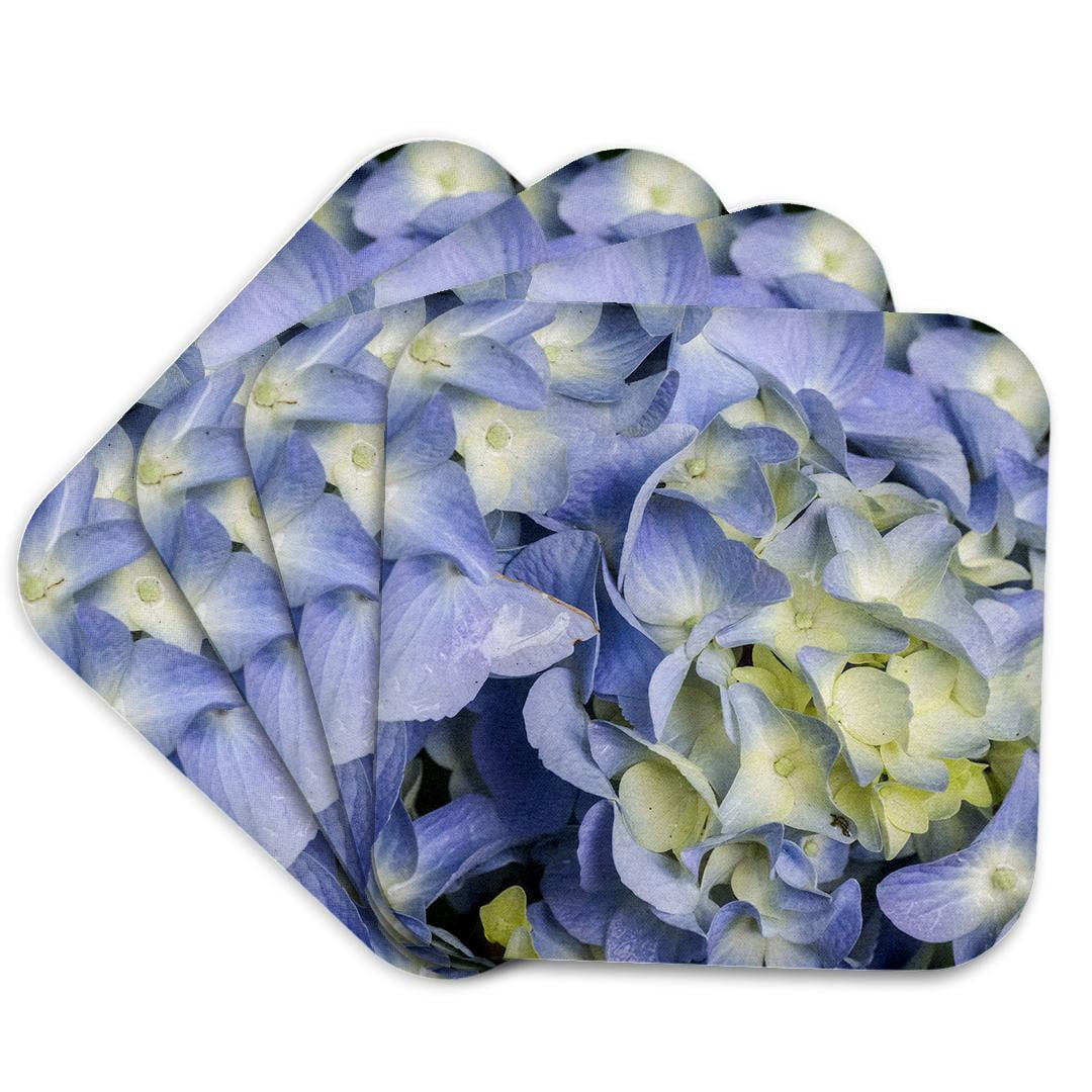 3drose, Deep Bright Orange Hibiscus Flower, Honolulu. State Flower of ...