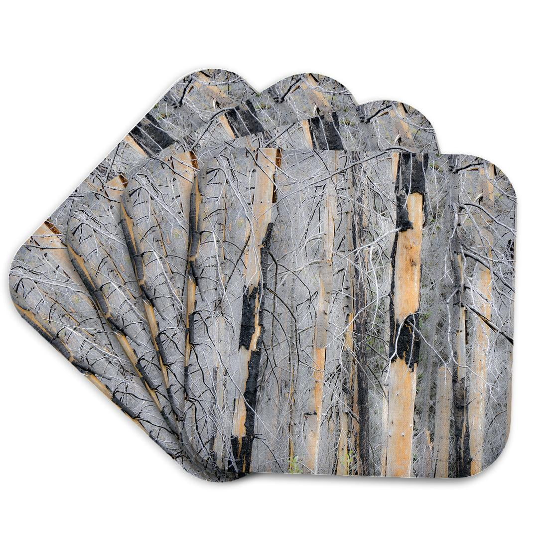 3drose, Deep Bright Orange Hibiscus Flower, Honolulu. State Flower of ...