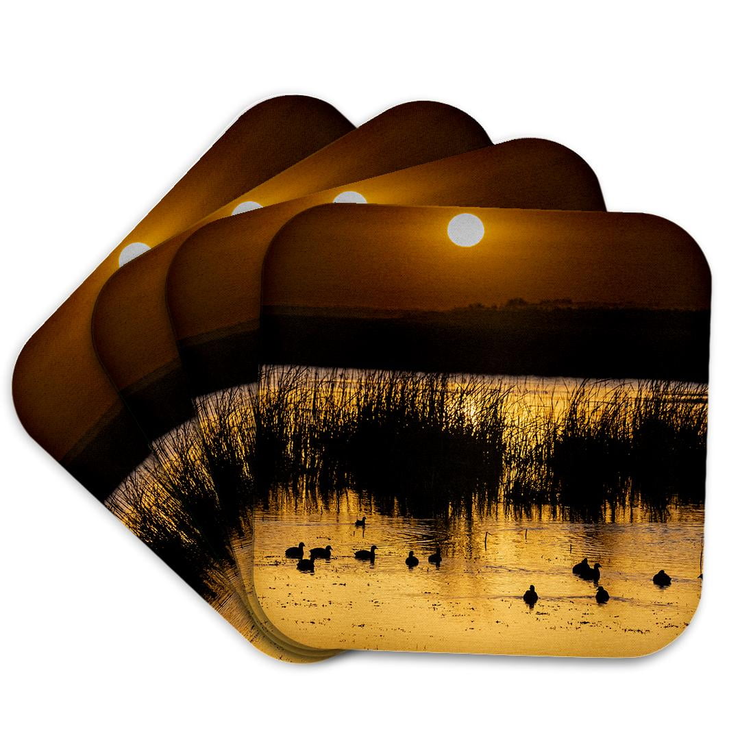 3drose, Deep Bright Orange Hibiscus Flower, Honolulu. State Flower of ...